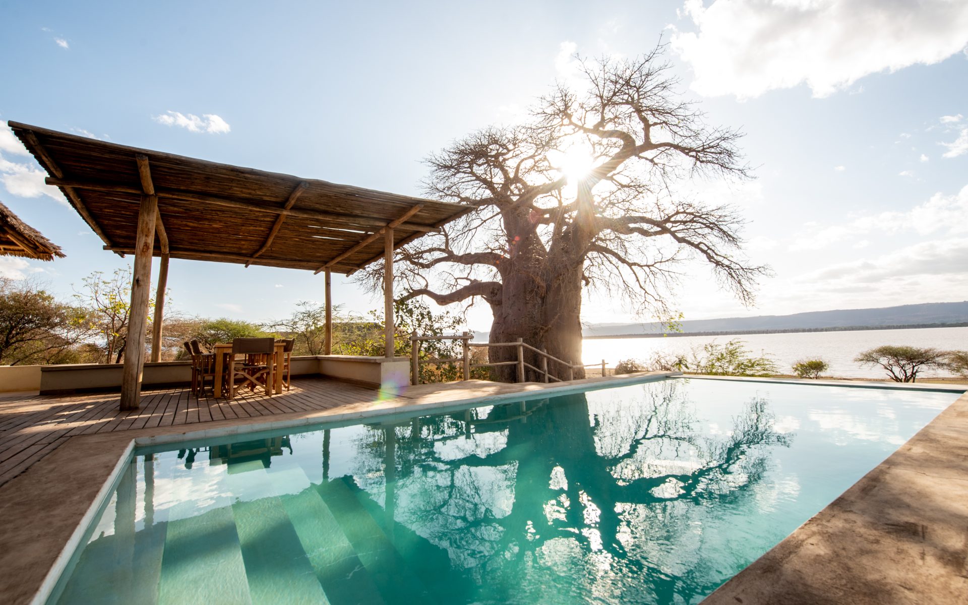 Oplev Tanzania: 11-dages safari + badeferie på Zanzibar